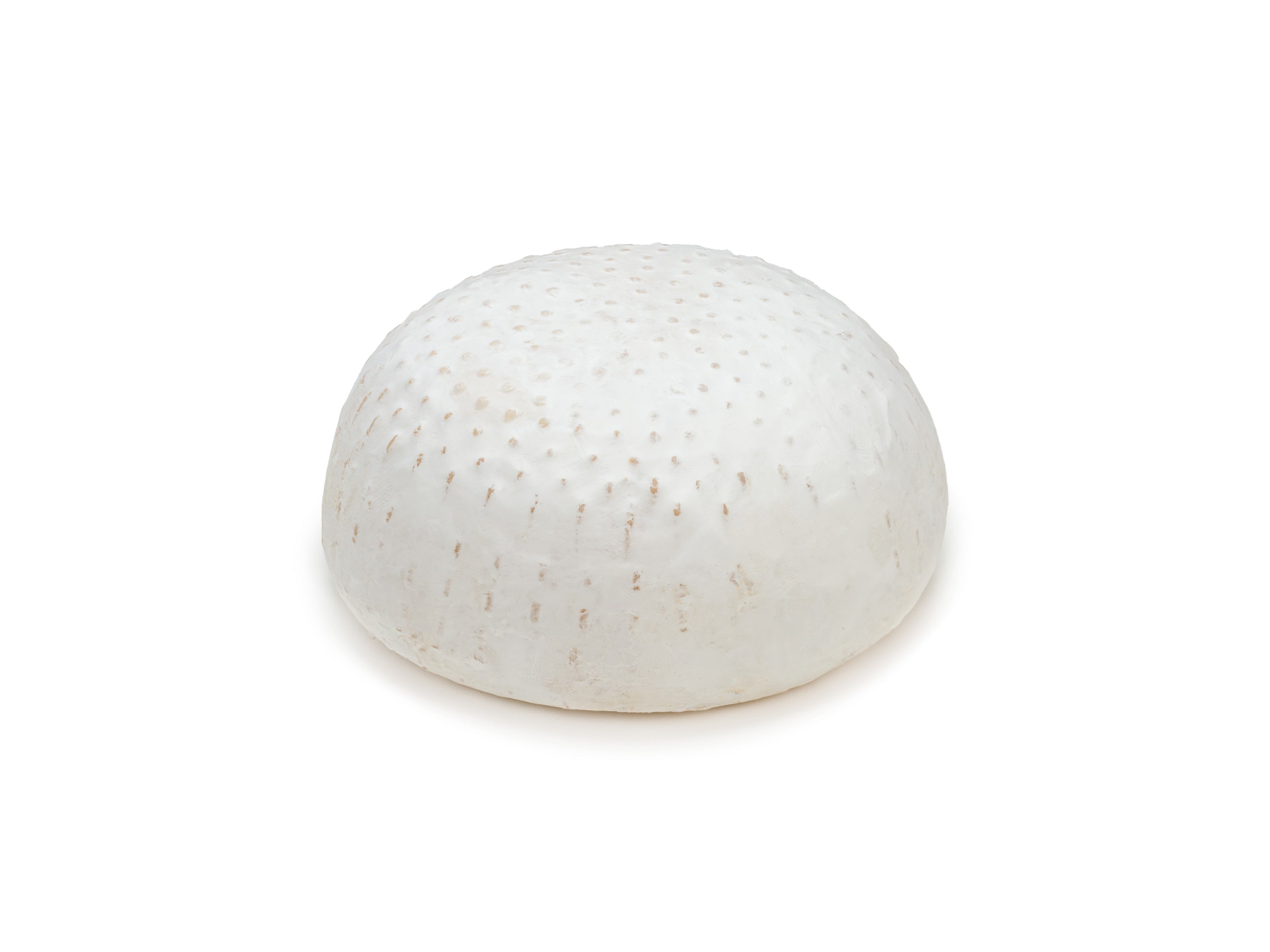 Goat's cheese – Titospeck